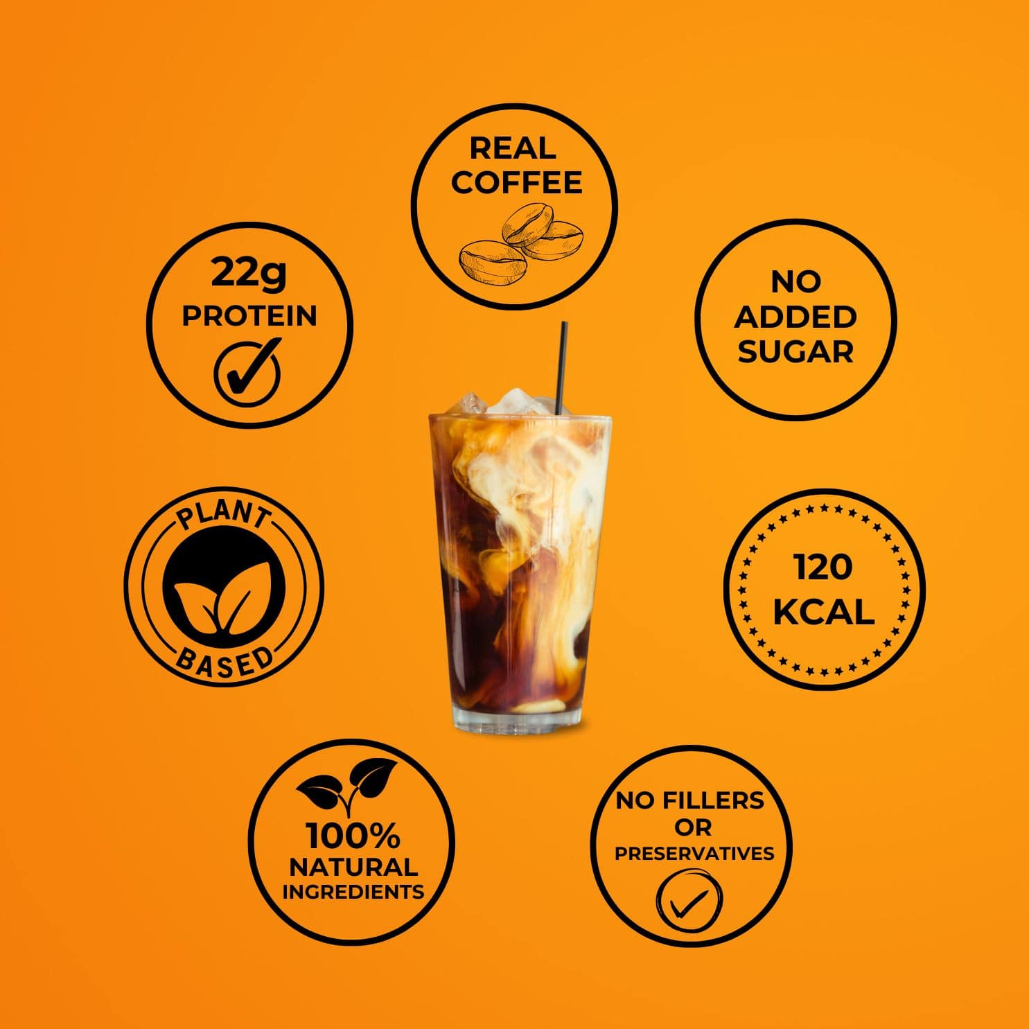 Iced Protein Coffee – Vegan Protein with Real Coffee, Made in Canada ...